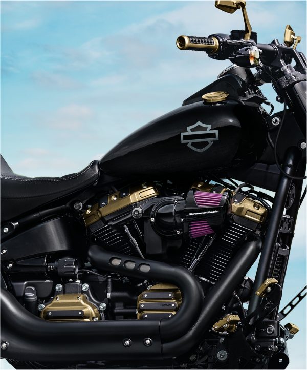 DÉcouvrez La Collection Dominion™ Léo Harley Davidson®